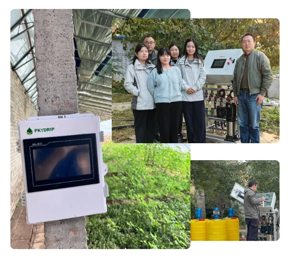 Automate for More: PKYDrip Smart Fertigation Boosts Farm Efficiency